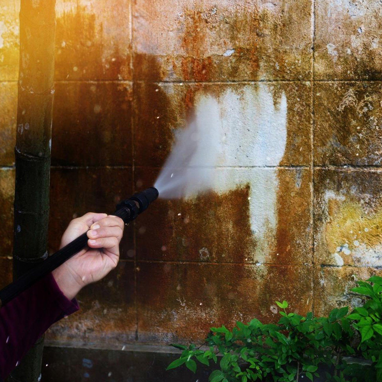 Expert Rust Removal Service Tailored to your Needs
